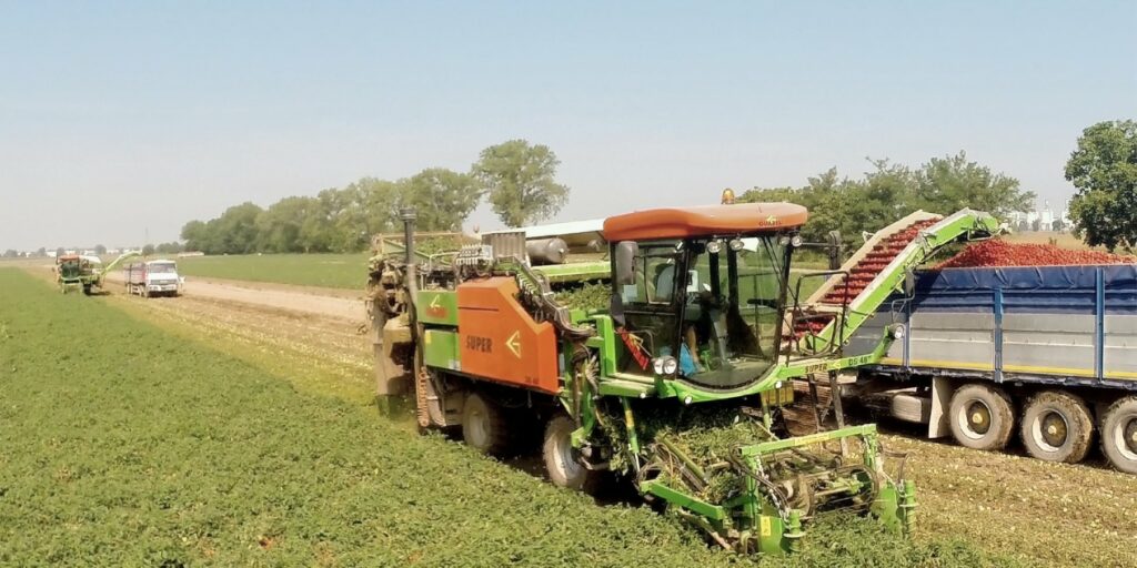 Guaresi: Global market in 2020 is likely to be 100 units max - Tomato News